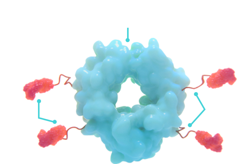 Cloudbreak Drug-Fc Conjugates (DFCs) - Cidara Therapeutics