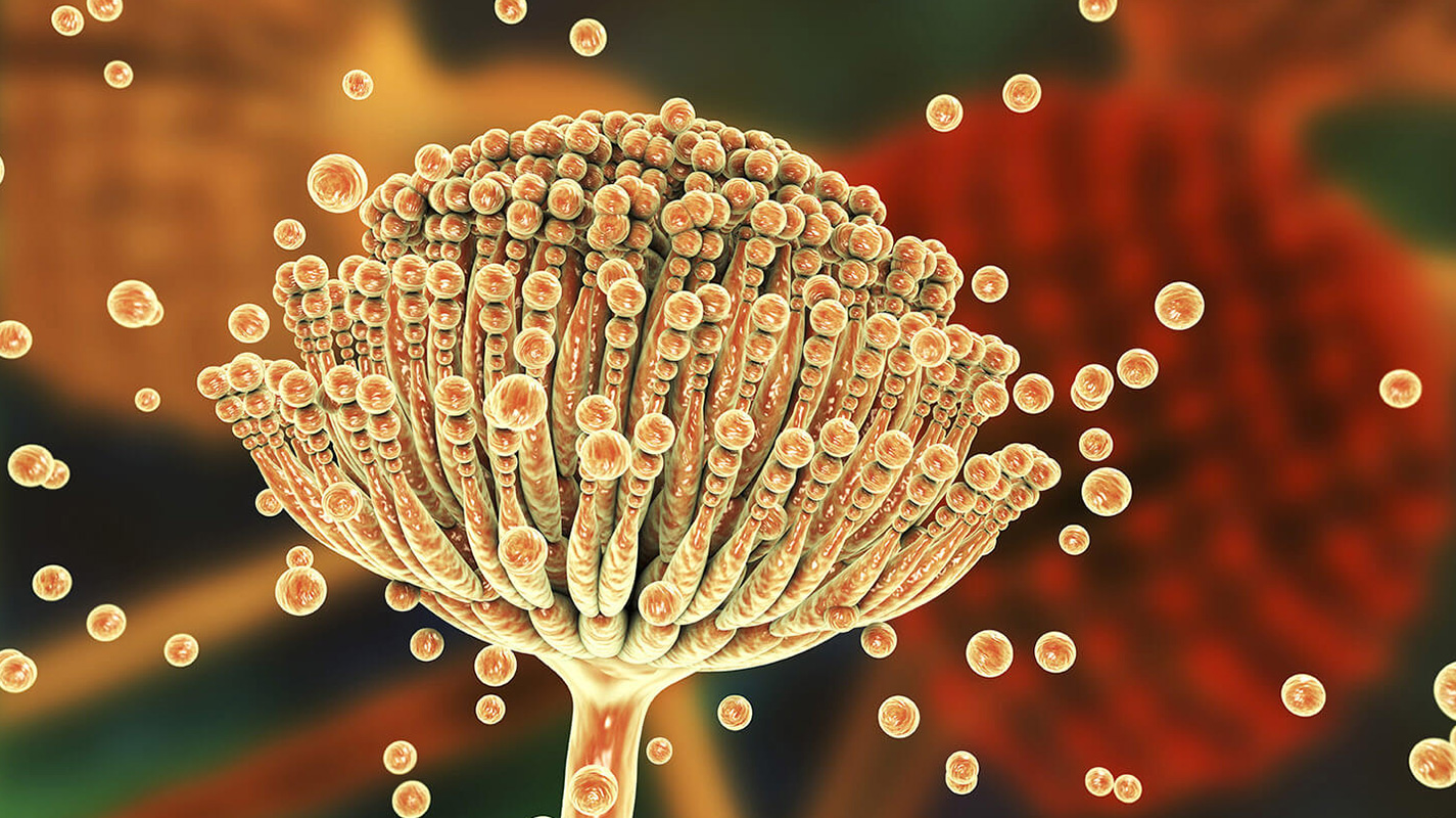 About - Cidara Therapeutics