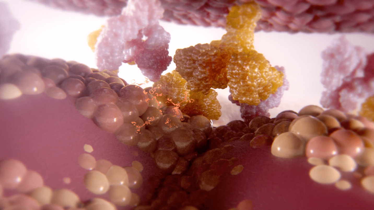 About - Cidara Therapeutics